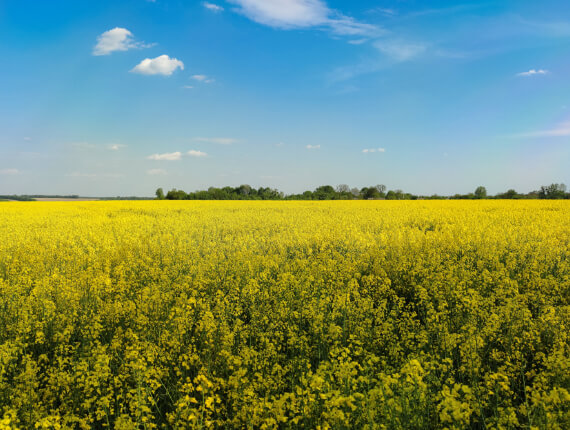 Altens, distributeur de biocarburant B100 pour les transporteurs